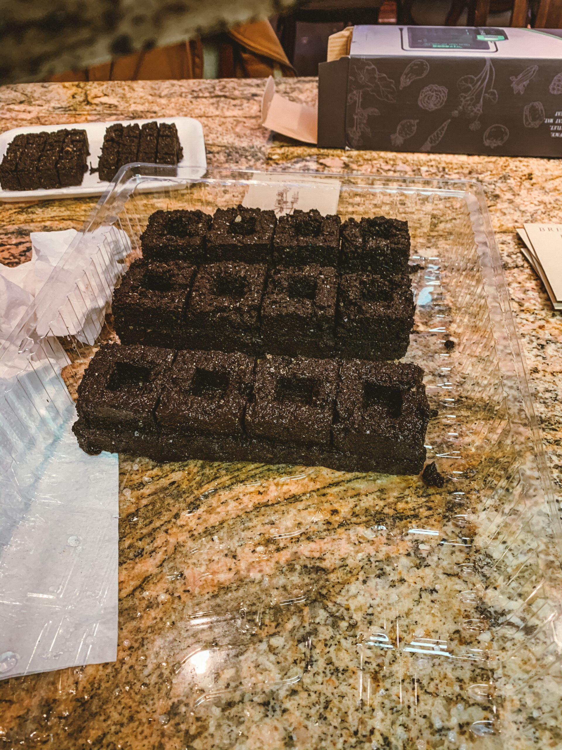 How To Use Soil Blocks - gardeninthepines.com